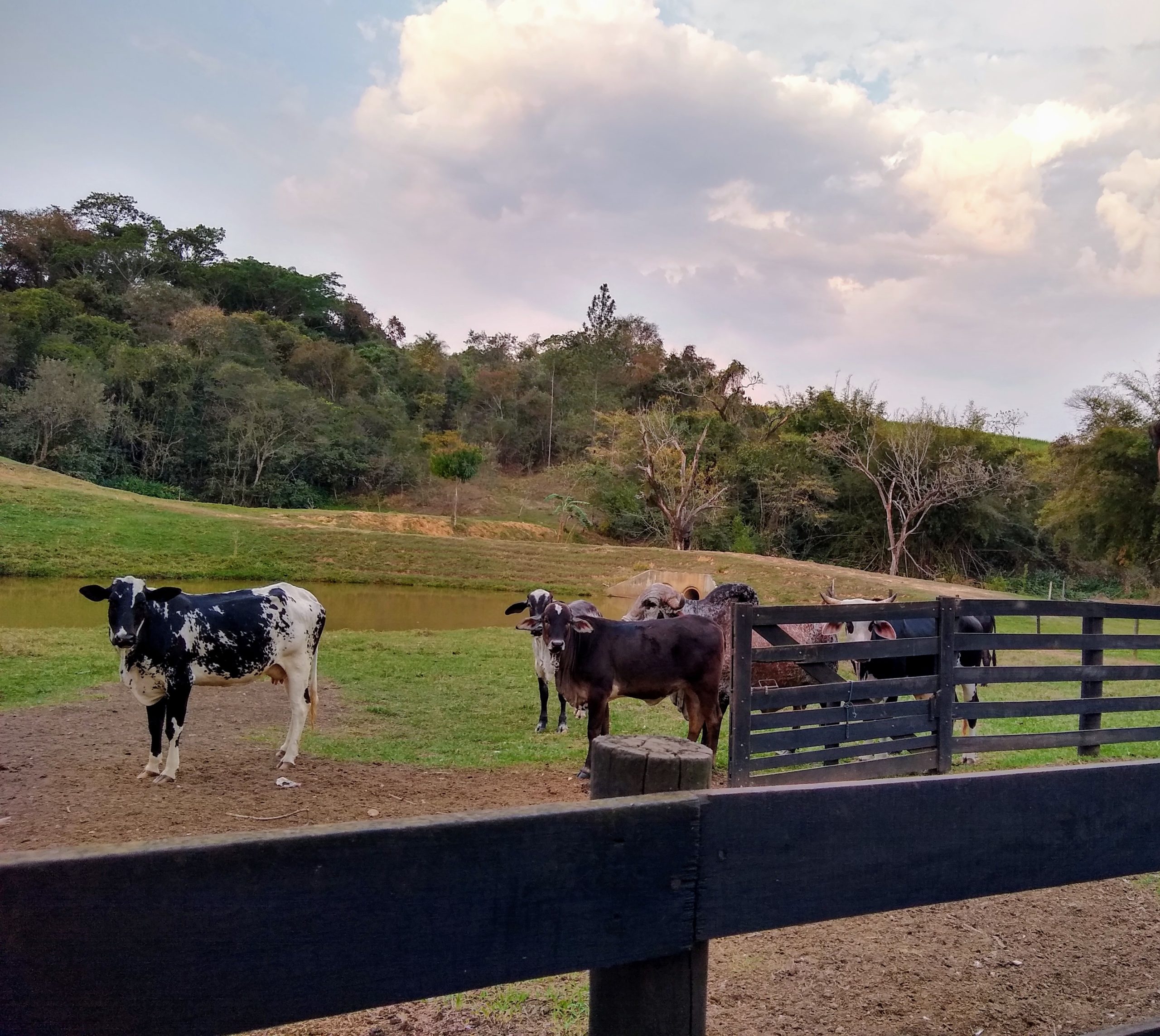 Parceria cria endereço digital de propriedades rurais - CBN Campinas 99 ...