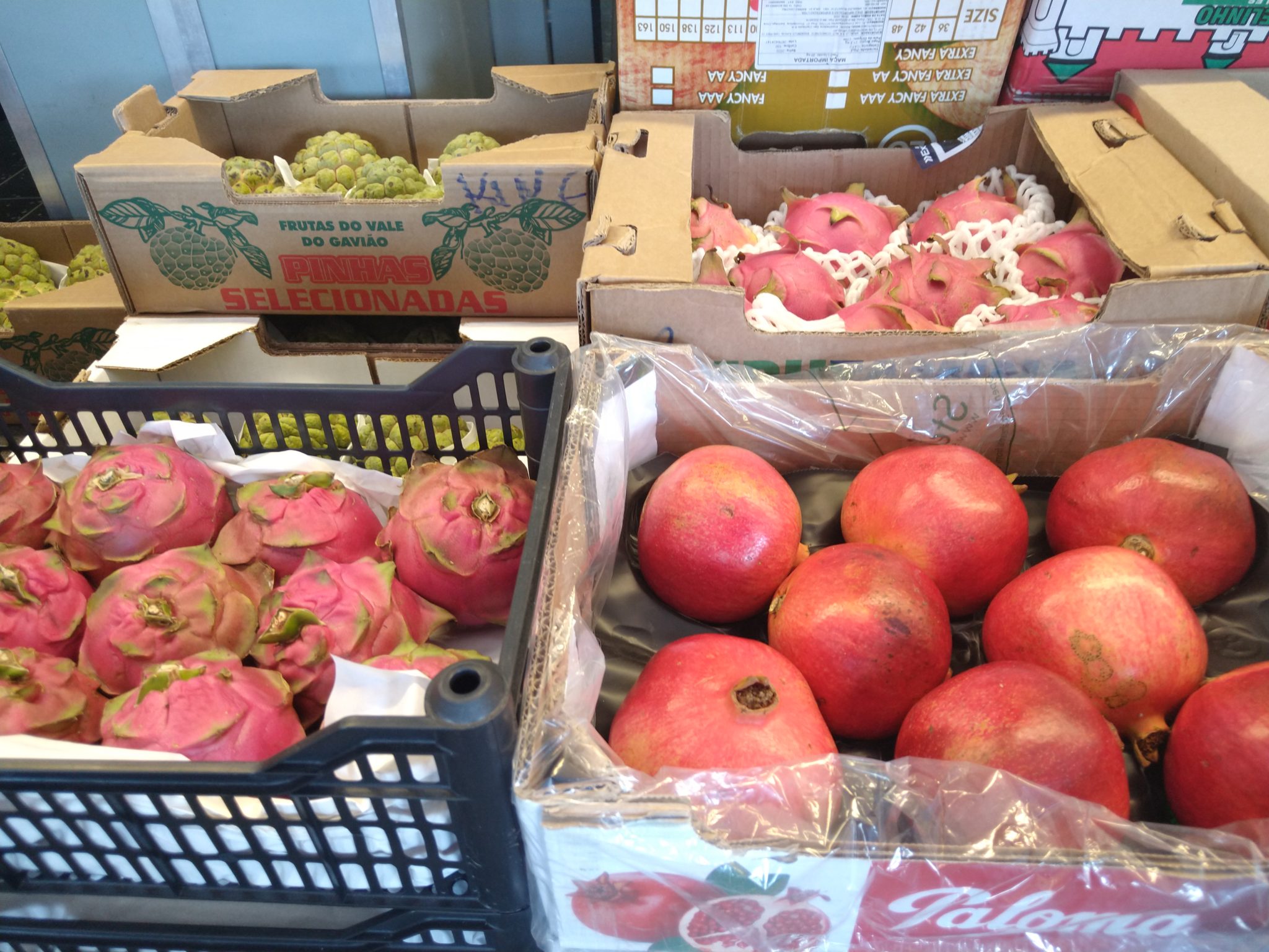 Dólar em alta faz disparar o preço das frutas importadas - CBN Campinas ...