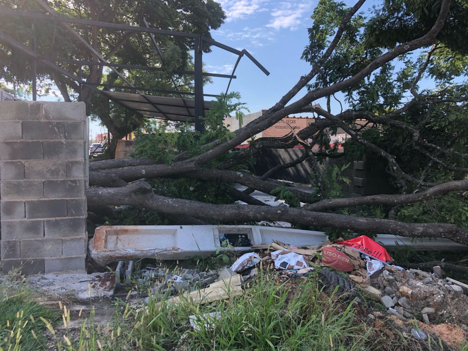 Moradores reclamam de árvore caída após chuva em Barão Geraldo - CBN ...